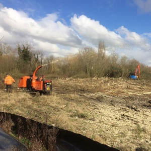 Commercial Tree Services - Allen Groundcare