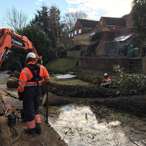 Tree Works Around Water - Allen Groundcare
