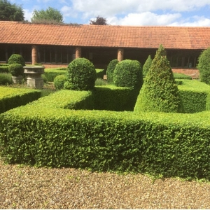 Parterre Hedge Trimming - Allen Groundcare