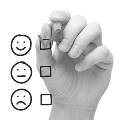Client Feedback - Allen Groundcare